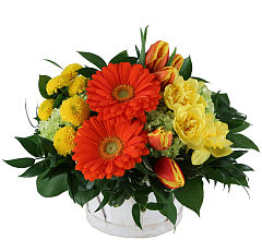 Spring Flowers · Canada Flowers.ca