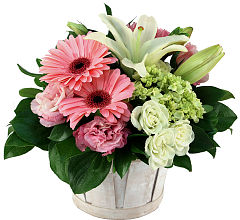 Spring Flowers · Canada Flowers.ca