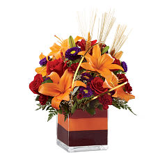 FTD® Fall Flowers · FTD® Florist · Canada Flowers.ca
