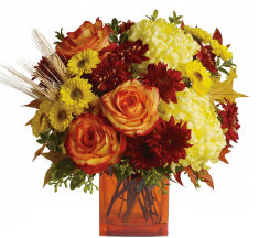 Holiday & Seasonal Flowers • Canada Flowers