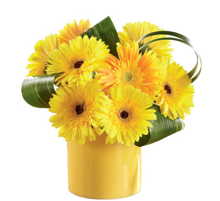 FTD Sunny Surprise Bouquet · FTD® Anytime Flowers · Canada Flowers.ca