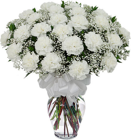 Two Dozen White Carnations · Funeral Flower Arrangements · Canada ...