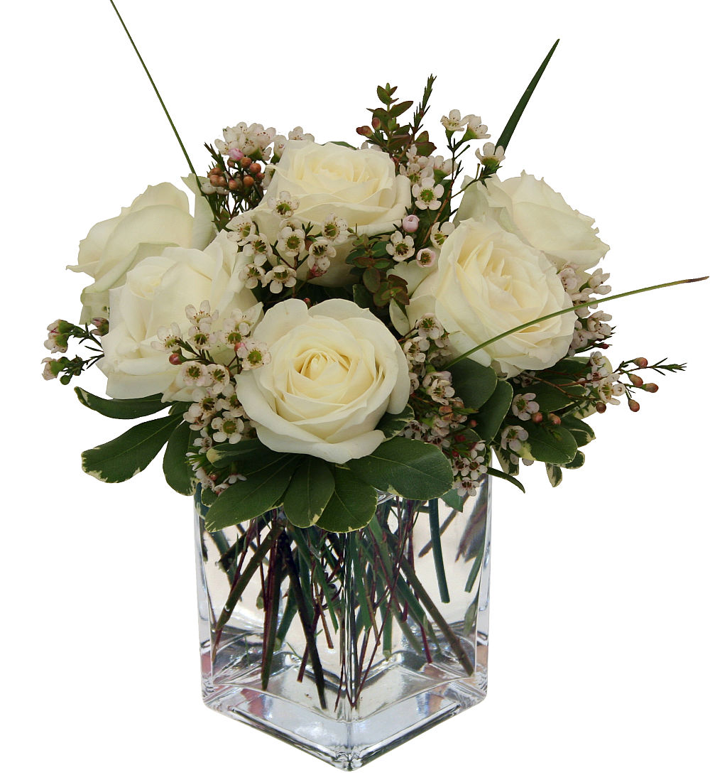 Contemporary Roses · Budget Funeral Flowers · Canada Flowers