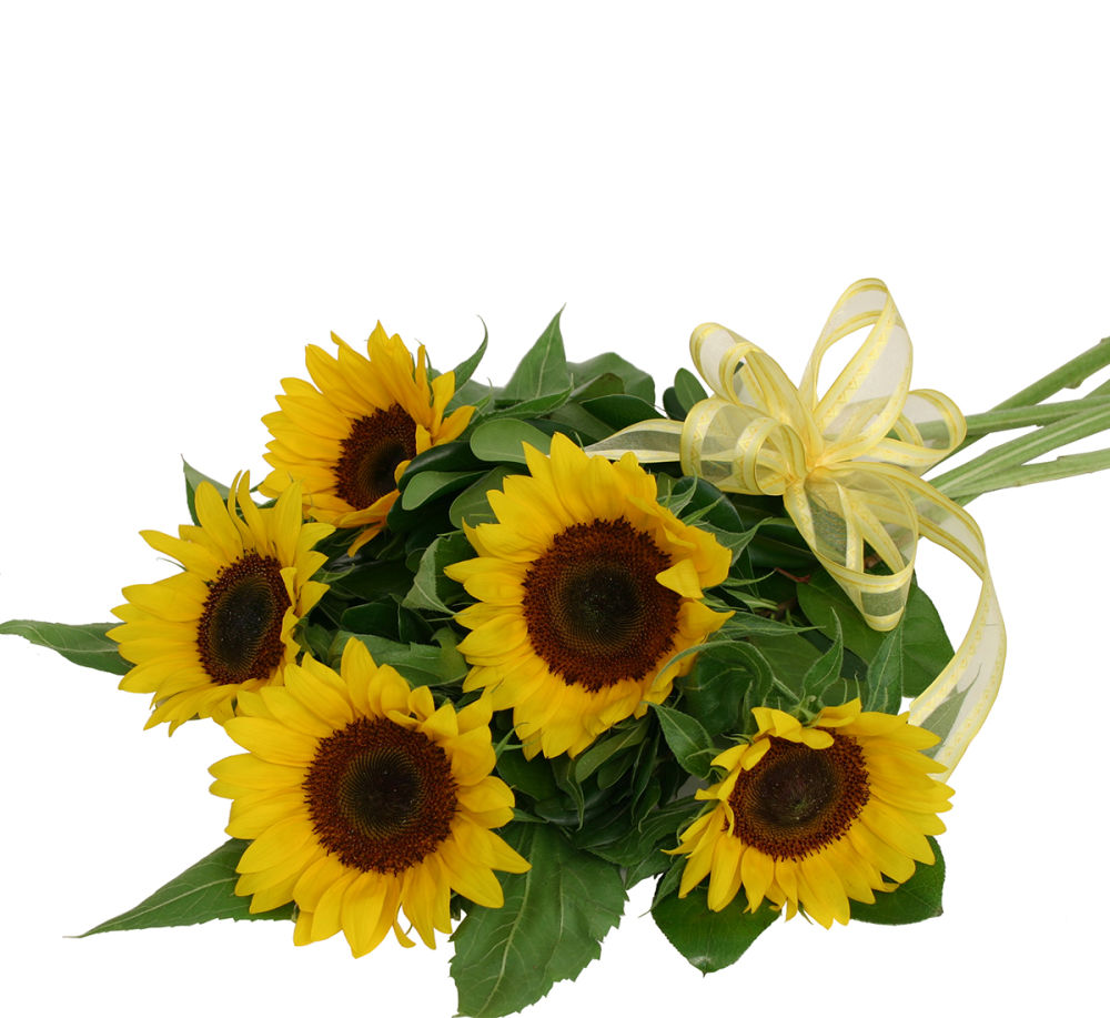 Sunflower Bouquet · Sunflowers · Canada Flowers