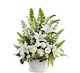 Canada Flowers | FTD® Morning Stars Arrangement #FN1FA