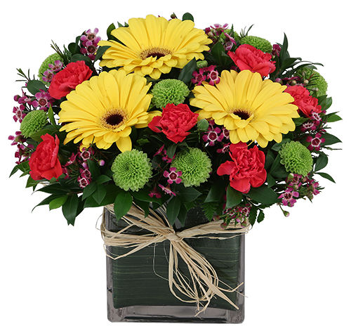 Canada Flowers | Gratitude #BS15AA