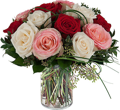 Canada Flowers | Red, Pink & White Roses #VA66AA