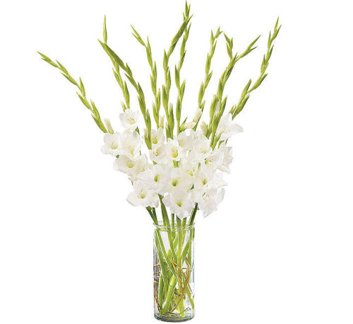 Canada Flowers | FTD® At Peace Bouquet #FN11FA