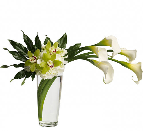 Canada Flowers | Teleflora's Moondance #PR3TA