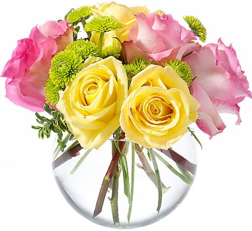 Canada Flowers | Teleflora's Pink Lemonade Roses #SU2TA